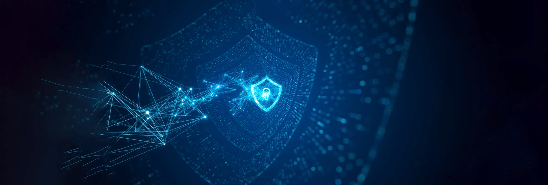 Cyber Security Considerations 2025